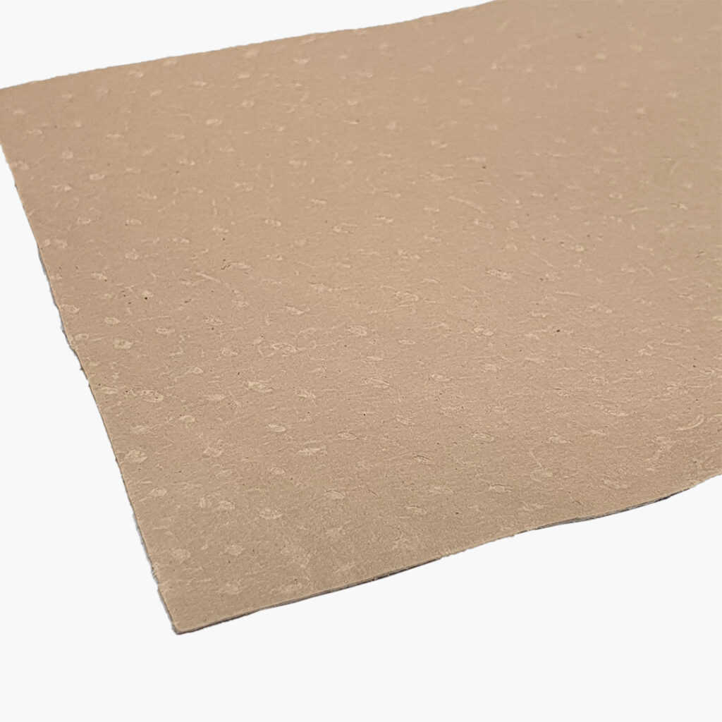 Pig Split with Face - VCCI