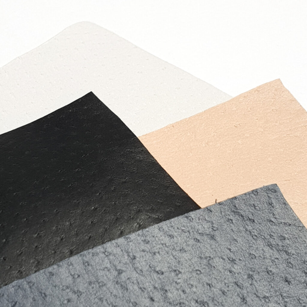 Pig Split with Face - VCCI